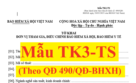 Mẫu TK3-TS theo Quyết định 490/QĐ-BHXH 2025 mới nhất